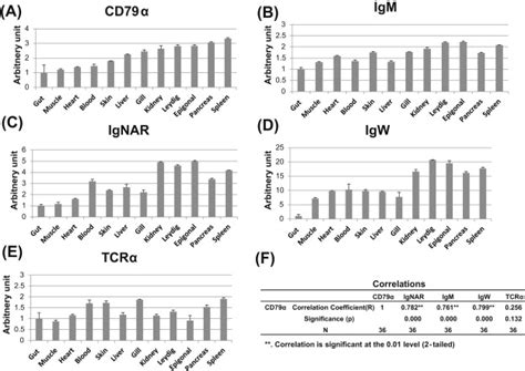 Tissue Expression Profile Of Sacd79α Transcript And Comparison To That