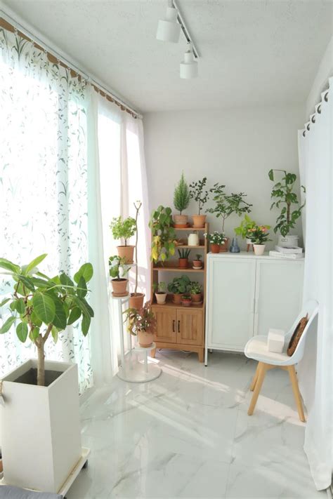 플랜테리어 아파트 베란다 인테리어 식물키우기 네이버 블로그