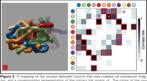 figure 2 from self assembly and particle aggregation in stratified