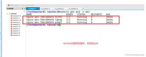 【云原生】k8s图形化管理工具之rancher 手动下载rancher镜像 csdn博客
