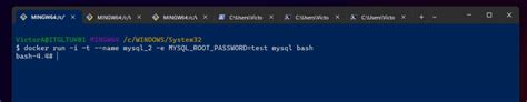 docker run command explained with examples cloudspress