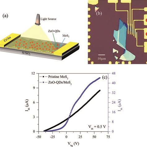 A 3d Schematic Of Zno Qds Decorated Mos2 Photodetector And B Download Scientific Diagram