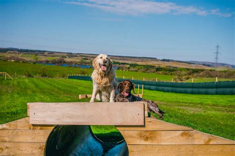 Docs Walks Docs Walks Added A New Photo