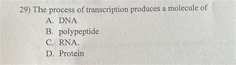 Solved The Process Of Transcription Produces A Molecule Ofa