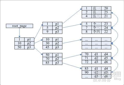 SQLServer存储引擎05 索引的结构和分类 coding the life 博客园 SQLServer存储引擎05 索引的结构和分类 coding the life 博客园