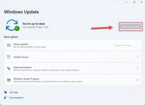 Disable Check For Updates Using Group Policy GPO