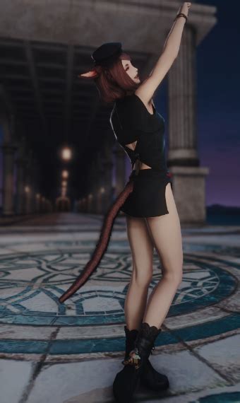 [echo] cat chic eorzea collection