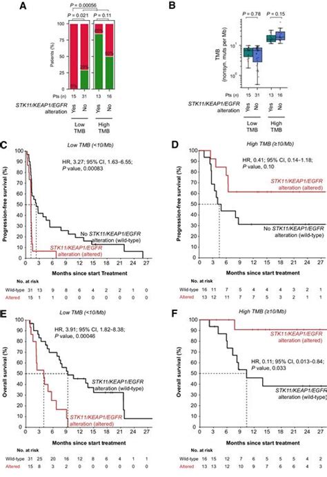 Combining Genomic Biomarkers To Guide Immunotherapy In Nonsmall Cell