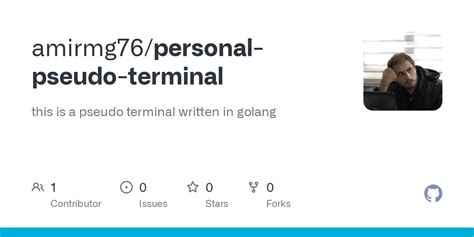 Github Amirmg76personal Pseudo Terminal This Is A Pseudo Terminal Written In Golang