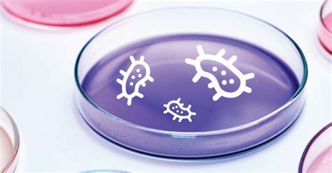 Towards Rapid Microbial Testing Methods Sctbio