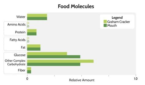 Protein Digestion Time Chart