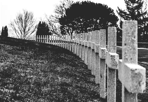 premium photo cross in row on field at cemetery