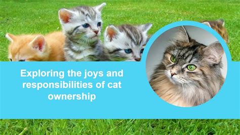 Шаблоны слайдов с животными Шаблон темы «Кошка Autoppt