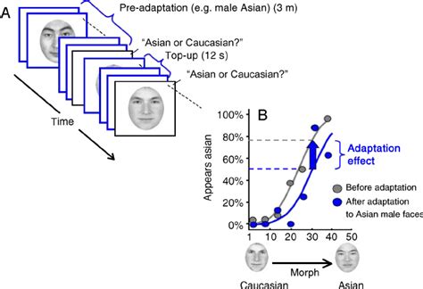 Experiment 1 Design And An Example Psychometric Function For An Example