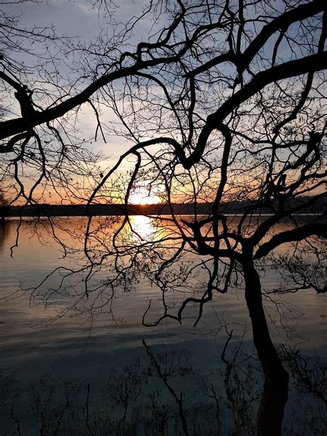 Sunset Lake Tree Free Photo On Pixabay Pixabay