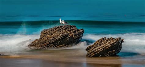 Springboot Admin20 集成 Java 诊断神器 Arthas 实践 阿里云开发者社区