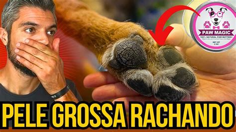 Cachorro C Calo Nas Patas CÃo C Unha Grande E Pele Grossa No Coxim RemÉdio P Hiperqueratose