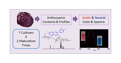 Anthocyanins Contents Profiles And Color Characteristics Of Red