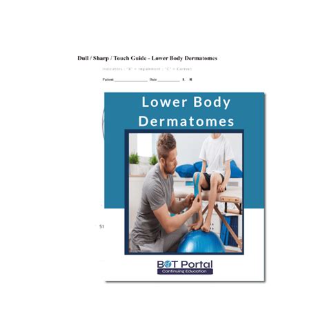 Flexor Synergy Vs Extensor Synergy Patterns Flexor Synergy Vs Extensor Synergy Patterns