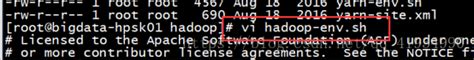 伪分布式安装hadoop详解 vmhadoop伪分布式安装 csdn博客