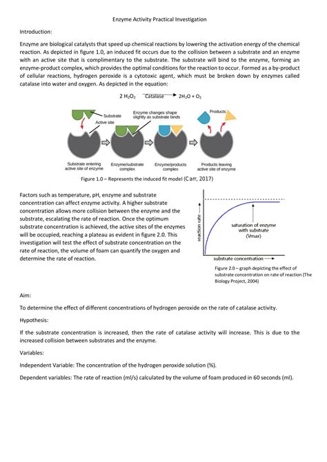 Enzyme Practical Investigation Biology Year 12 Sace Thinkswap