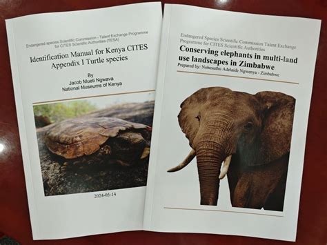 Yan Zeng On Linkedin Two Fellow Friends Have Passed Their Defence Of Reports During The Morning…