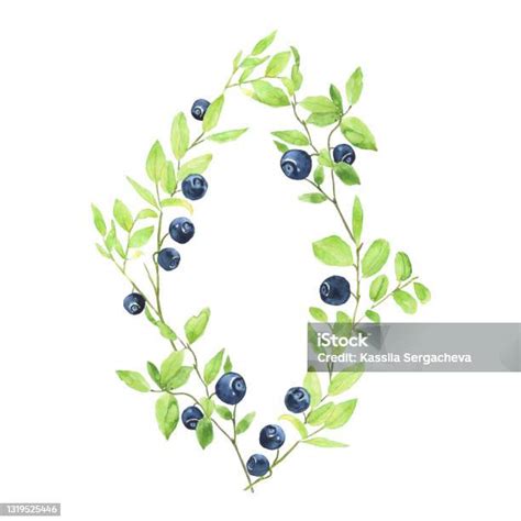 흰색 배경에 격리 된 프레임 블루 베리 빌베리의 수채화 손 그리기 그림 공간을 복사합니다 카드 배너 커버 인쇄에 적합합니다 건강관리와 의술에 대한 스톡 벡터 아트 및 기타