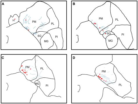 pattern of overlapping label in case y1 each panel a d presents a