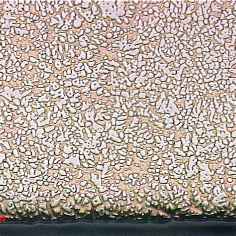 Micrograph Of Copper Chromium Contact Material Copper Matrix Download Scientific Diagram