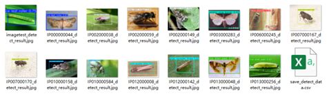 深度学习的智慧农业水稻害虫检测系统研究与实现pyqt5界面数据集训练代码 中猿创新 7zcode