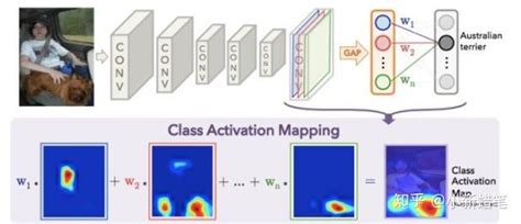 Cam Class Activation Mapping Pytorch 知乎