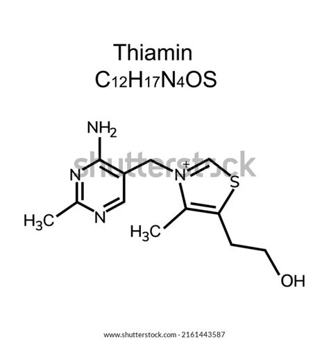 Chemical Structural Formula Thiamin เวกเตอร์สต็อก ปลอดค่าลิขสิทธิ์