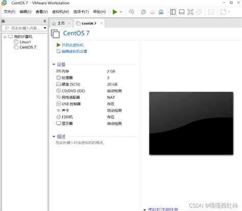Linux Docker部署项目 Csdn博客