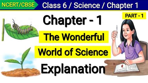 curiosity the wonderful world of science class 6 science chapter 1