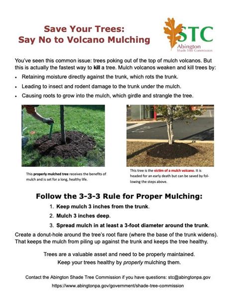 Say No To Tree Mulch Volcanos Abington Pa Patch