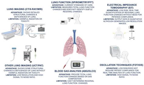 Early Diagnosis And Real Time Monitoring Of Regional Lung Function