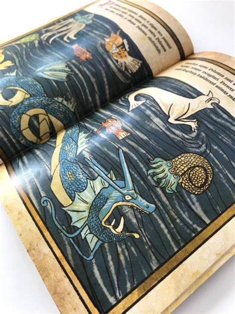 Artist Gives PokÉmon Codex A Medieval Style Makeover Nerdist