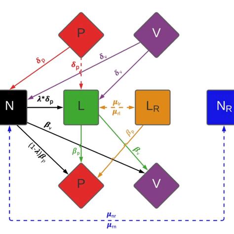 Model Of The Population And Evolutionary Dynamics Of Temperate And Download Scientific Diagram