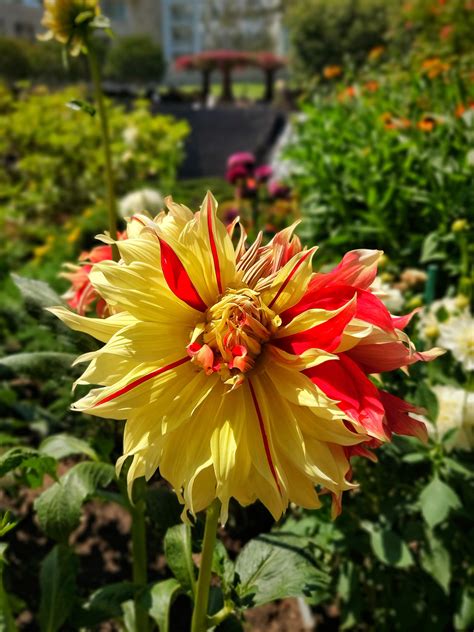 Visual Communications Assignment 2 On Behance