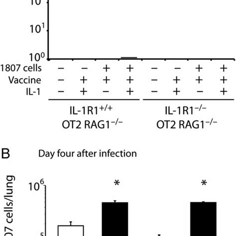 The Interleukin 1 Il 1 Adjuvant Effect Is Principally Mediated By T Download Scientific