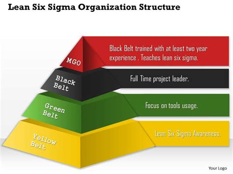 0514 Lean Six Sigma Organization Structure Powerpoint Presentation