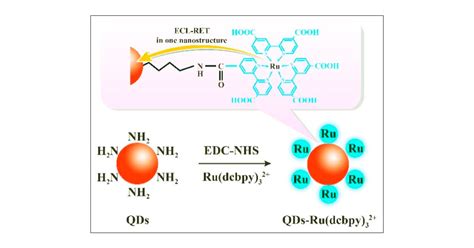 Highly Efficient Electrochemiluminescence Resonance Energy Transfer