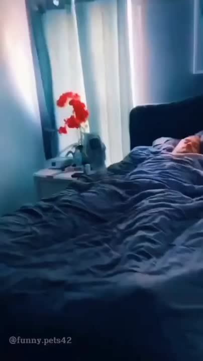 Srihari S On Linkedin 😆