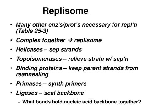 Ppt Dna Replication Powerpoint Presentation Free Download Id3432907