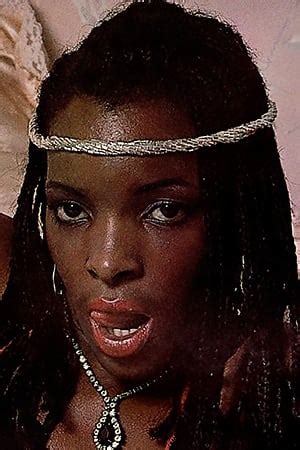 Satin Summer Profile Images — The Movie Database Tmdb