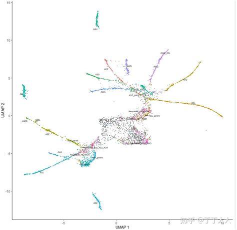 细胞轨迹推断 知乎