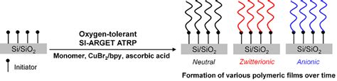 Formation Of Various Polymeric Films Via Surface‐initiated Arget Atrp On Silicon Substrates