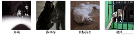 机器学习——图像分类 csdn博客