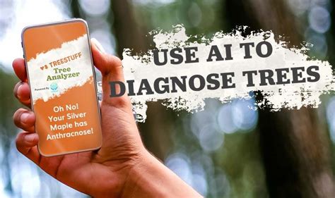 Join The Closed Beta Test For Our First App TreeStuff