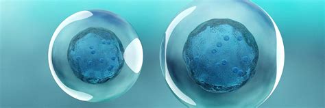 Improved Inter Instrument Consistency And High Precision For Cho Cell Bioprocessing Using The